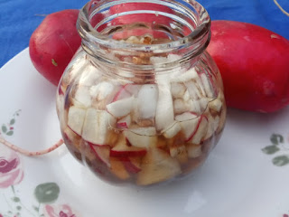 Jarabe de rábano, miel, cebolla y ajo para fortalecer las vías ...