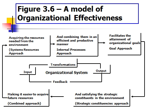 Connecting Students: Topic 3 How Organization Adapt to their Environment