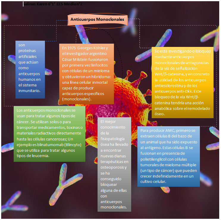 Biología, genética y sociedad: Milstein, Anticuerpos monoclonales (AMC) y el conocimiento científico