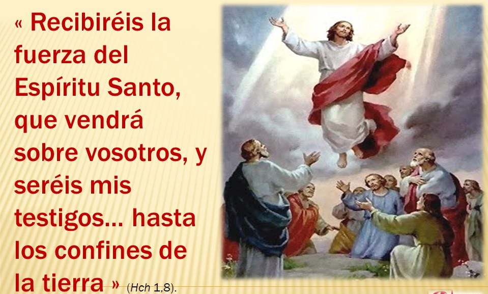 Vida de la Palabra: TESTIGOS DEL DIOS VIVO