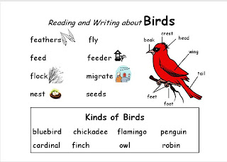 Classroom Freebies Too: Words for the Birds