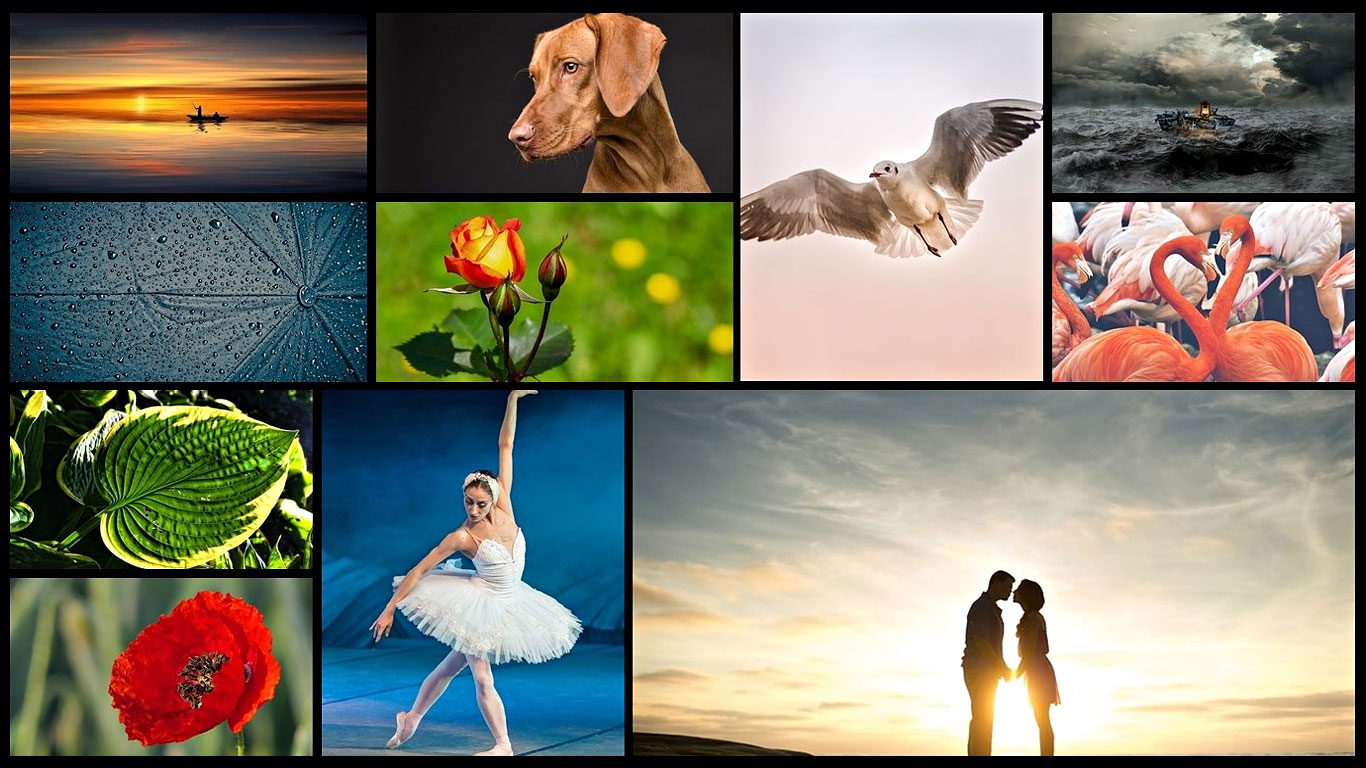 Kolaj nedir ne demektir? Anlamı - Laf Sözlük