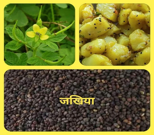 जखिया (उत्तराखंड लोकप्रिय मसाला)