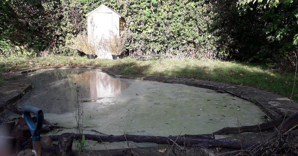 Wildlife Garden Development