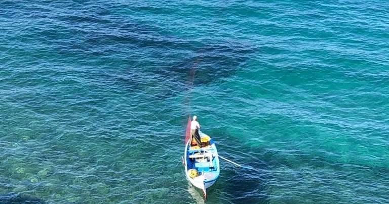 GÜNÜN TORTUSU: Denizin - ve Deniz'in - üç hali GÜNÜN TORTUSU: Denizin - ve Deniz'in - üç hali