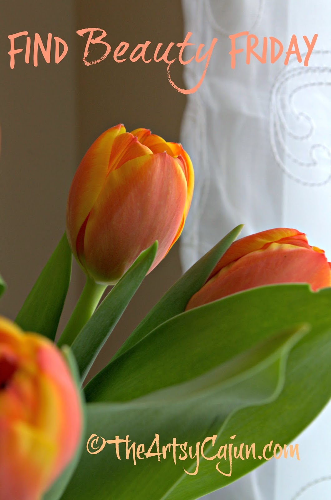 Find Beauty Friday- Tulips for Sunset? | The Artsy Cajun