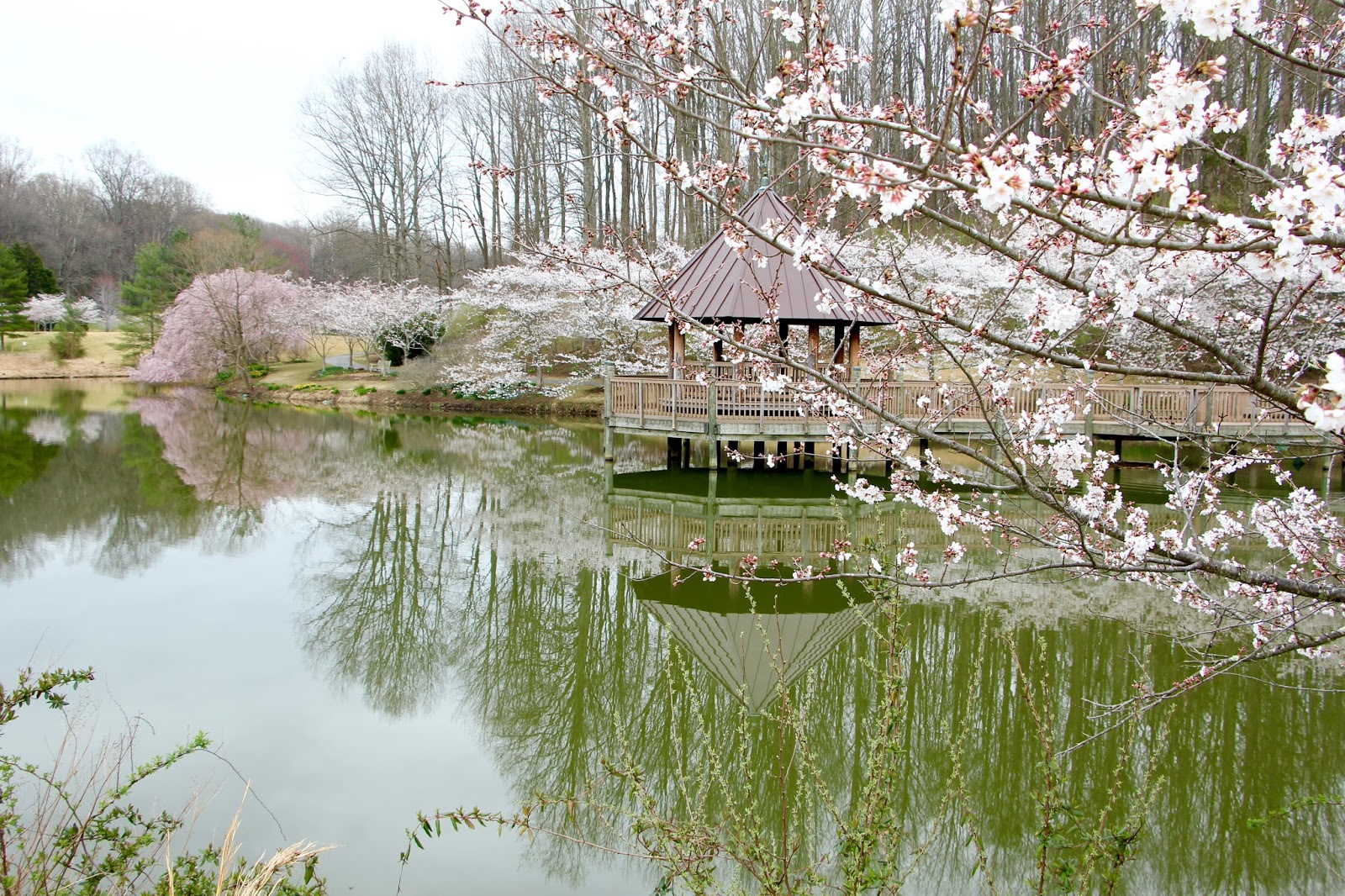 Life in the suburb!: Blommande dalar ...