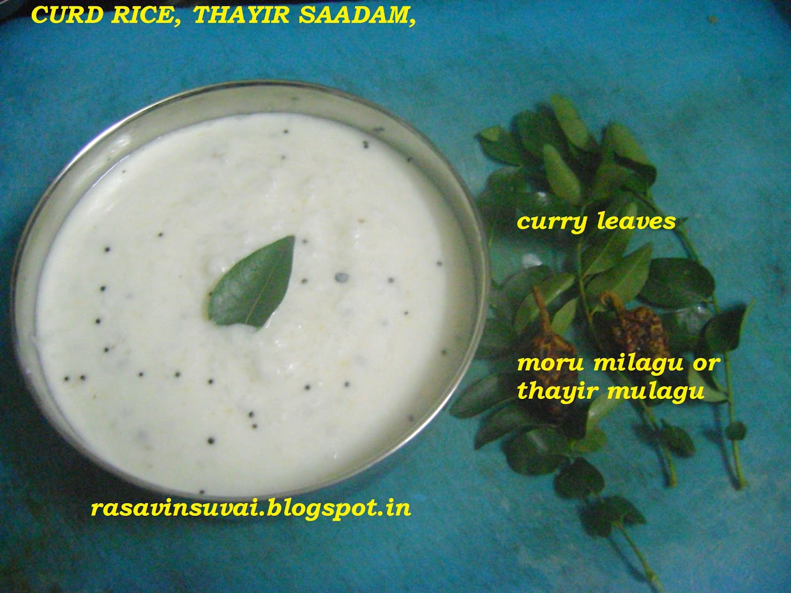 Raji Ramakrishnan : CURD RICE, YOGHURT RICE, THAYIR SADAM
