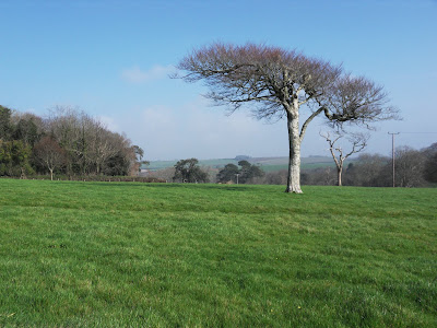 67 Not Out: Menabilly Daphne Du Maurier's Manderley In Cornwall