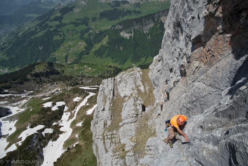 Du nouveau à la Mamule