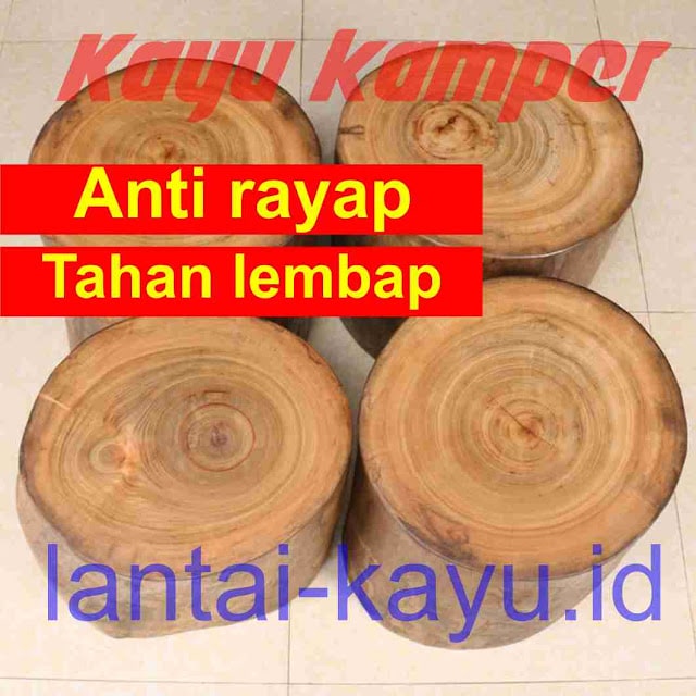 Review kayu matoa sebagai kayu berkualitas - Lantai kayu indonesia