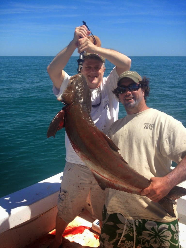 Rock Solid Fishing: It's that time again...catching cobia