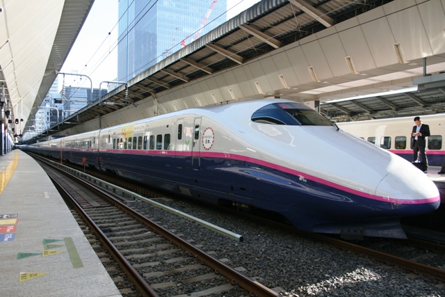 Tokyo Railway Labyrinth: EMU JR East E2 Series, Pokemon Shinkansen