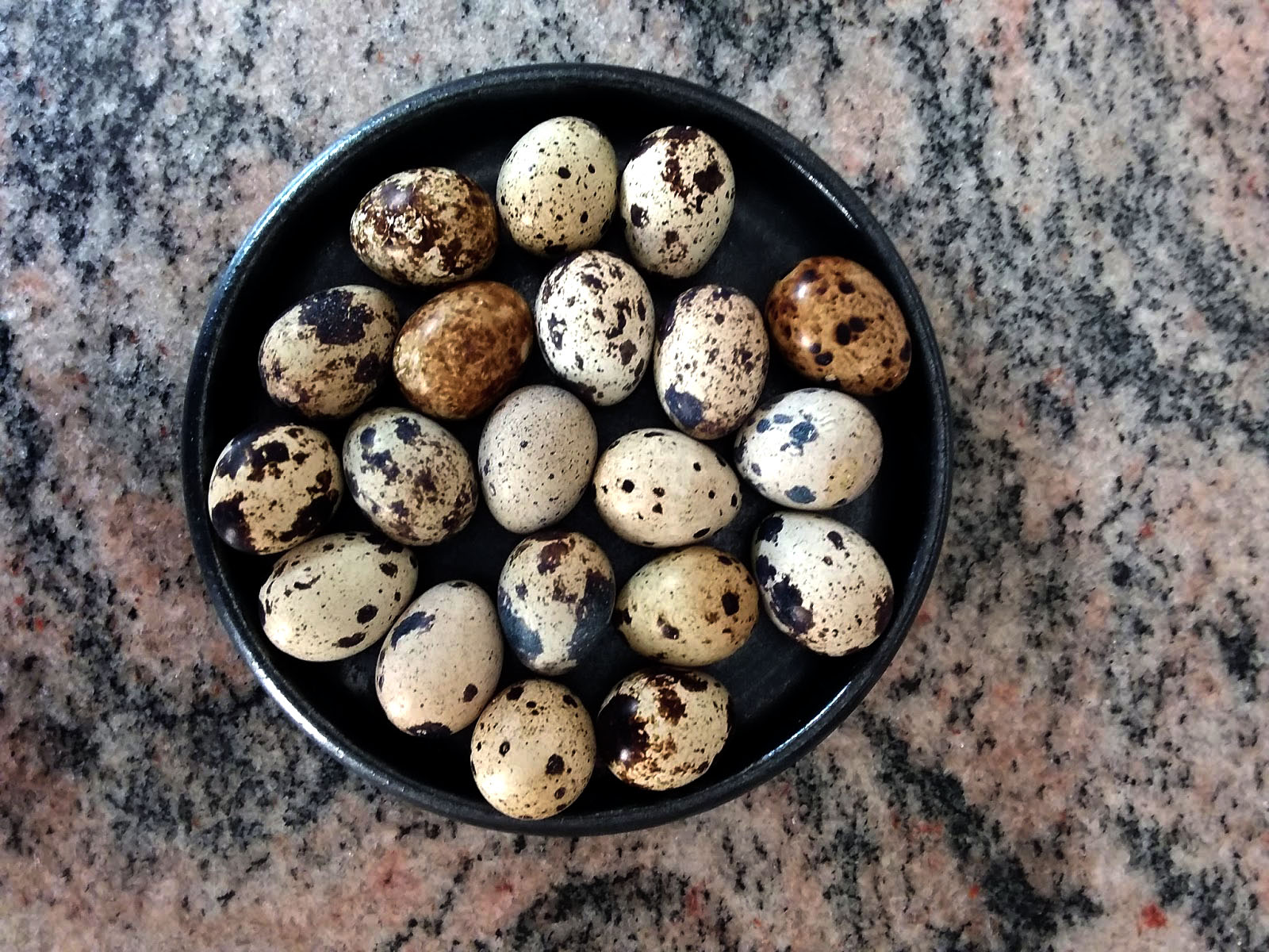 Journal de cuisine: Tarte aux œufs de caille en trois temps