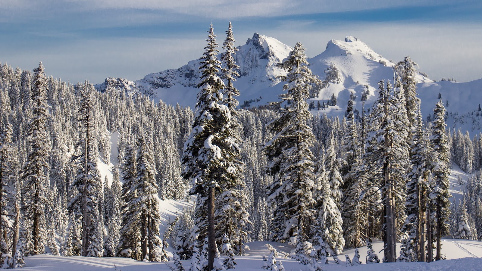 Razor Sharp Insights: Winter "Paradise"