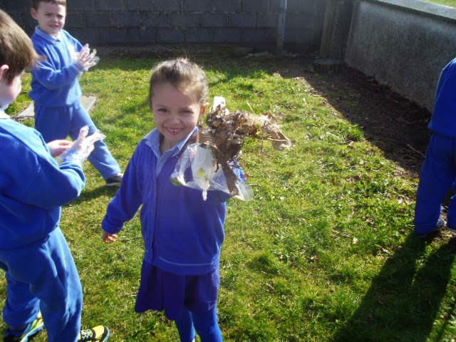 Science Projects: Litter picking