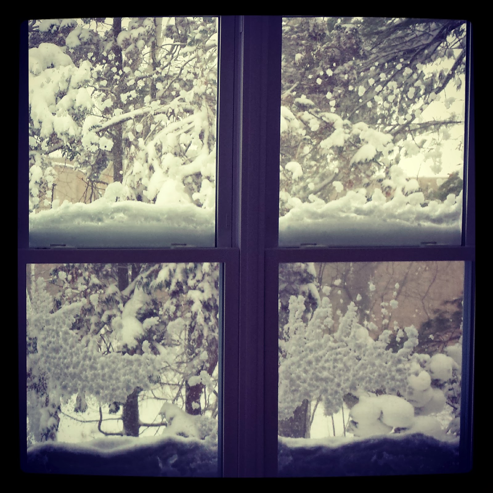 Laura LaRae's Luxuries: Snow Day in New York