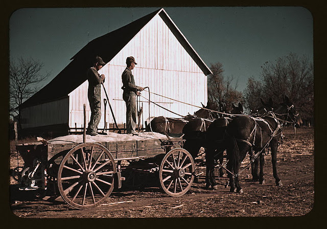 19 Amazing Color Photos of American Farmers in the early 1940s ...