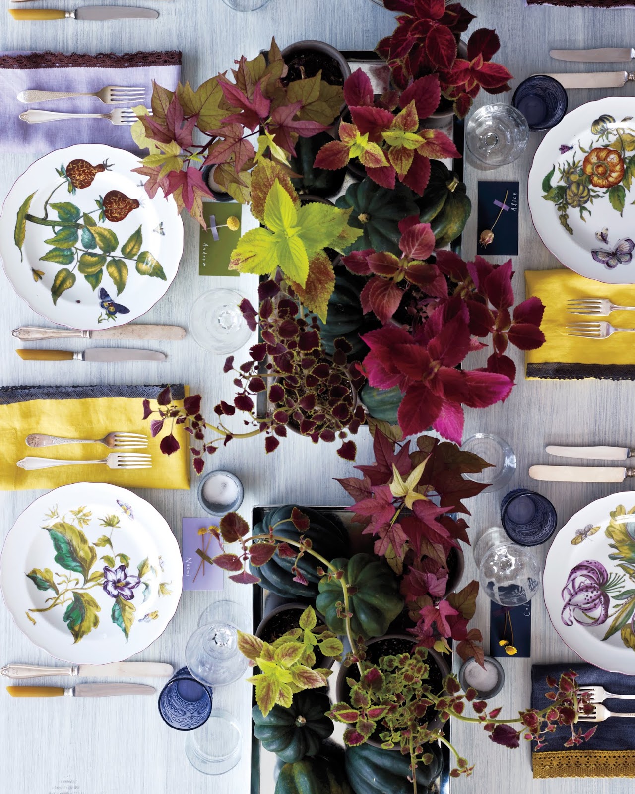 NANA DIANA TAKES A BREAK