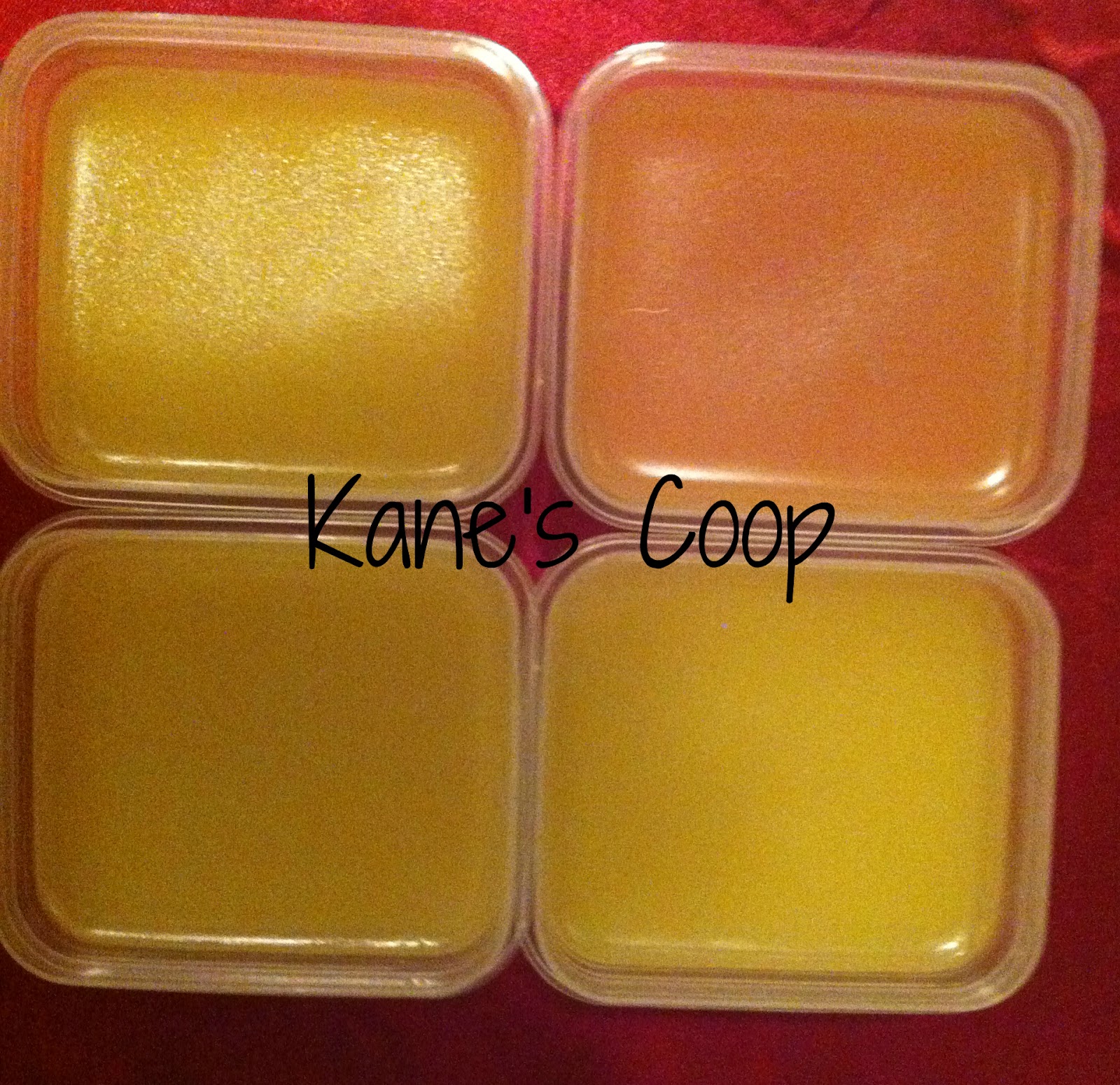 Kane sCoop DIY Lip Balm kane-scoop-diy-lip-balm