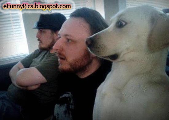 Shocking But Funny Faces - Funny Photos, Funny Videos