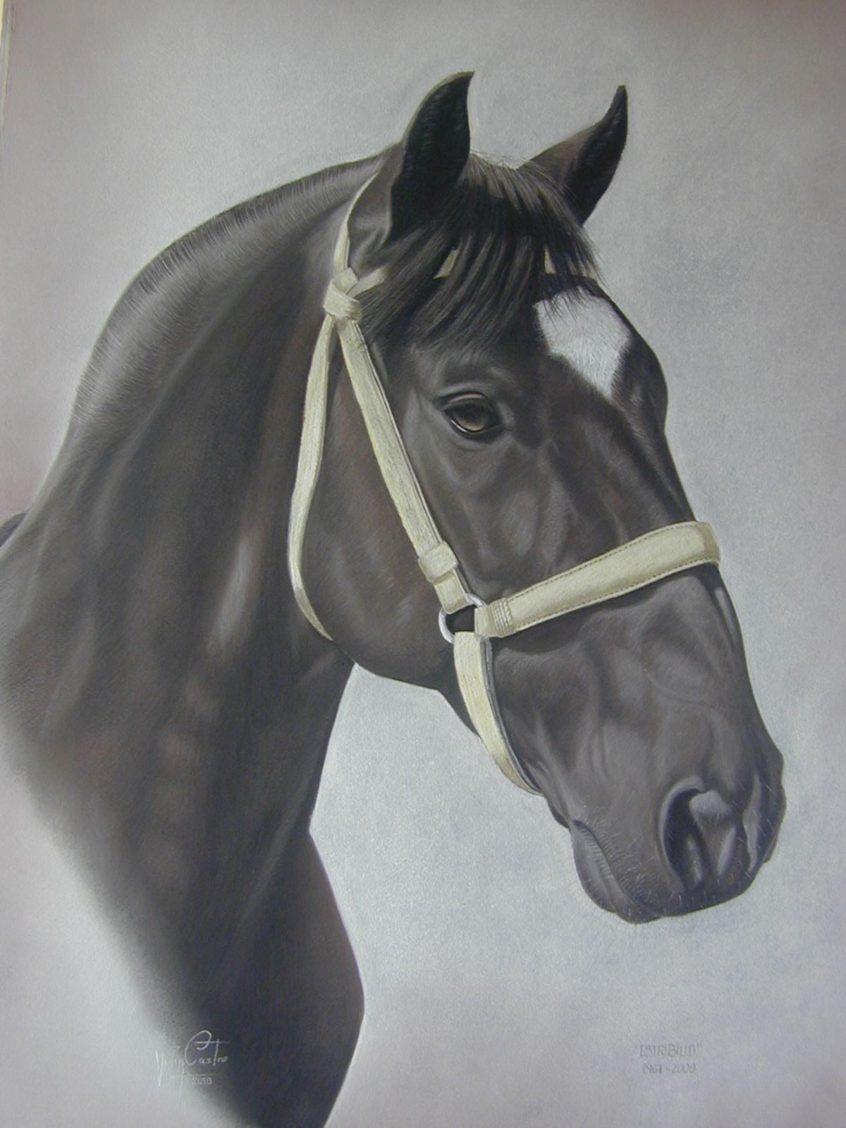 Arte Austral... Juan Carlos Castro: Estribillo