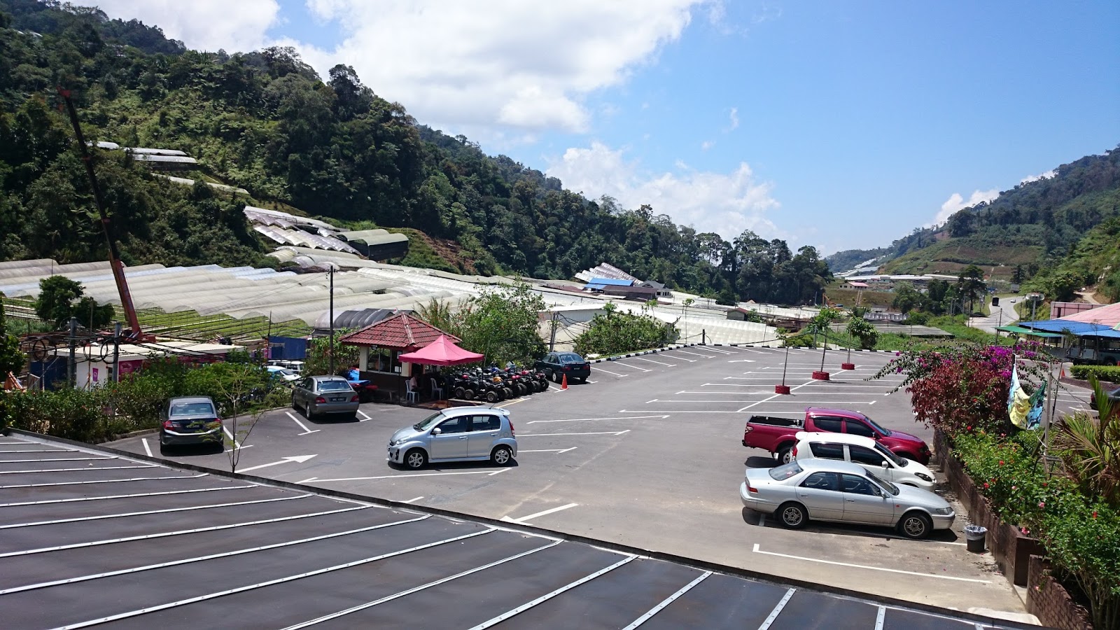 Today BAHAGIA: CAMERON VALLEY TEA HOUSE, CAMERON HIGHLAND