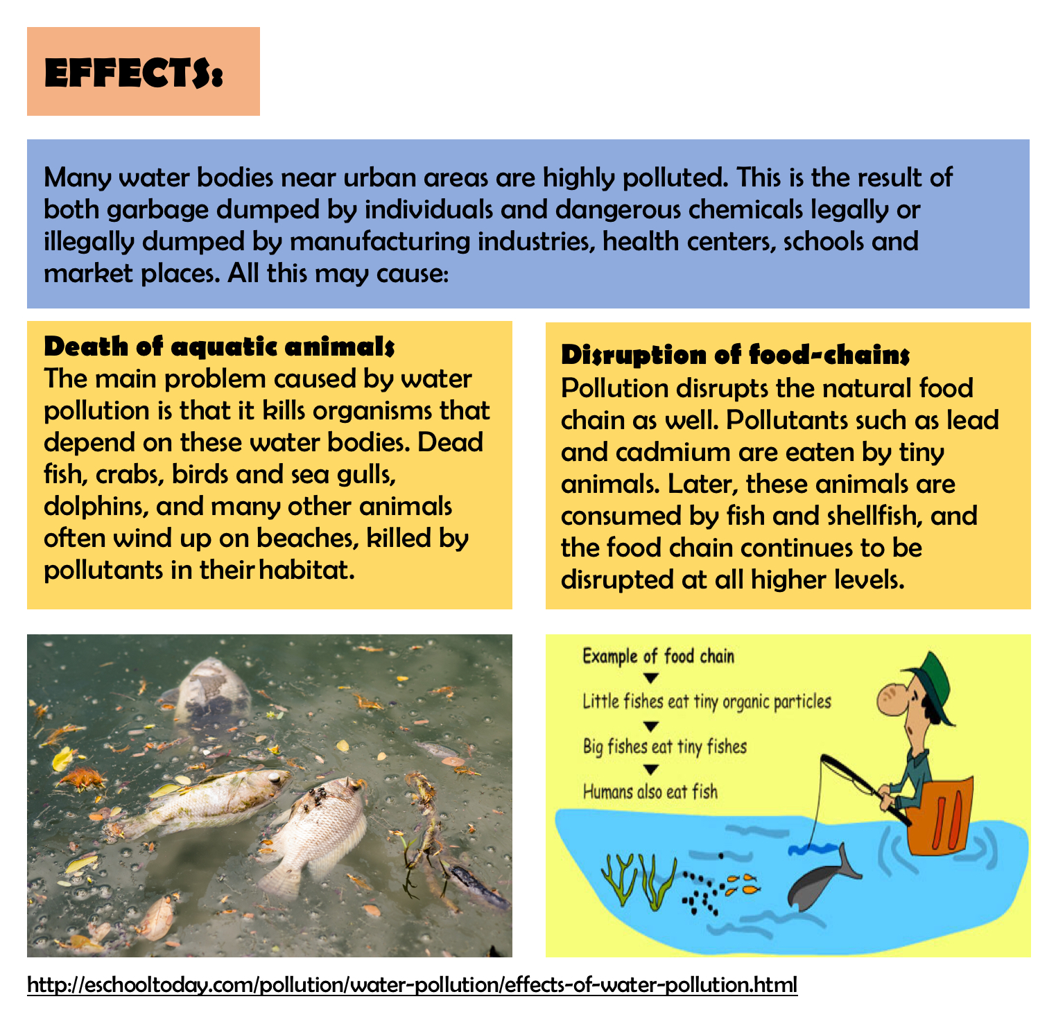 WHAT ARE SOME EFFECTS OF WATER POLLUTION? -MARÍA