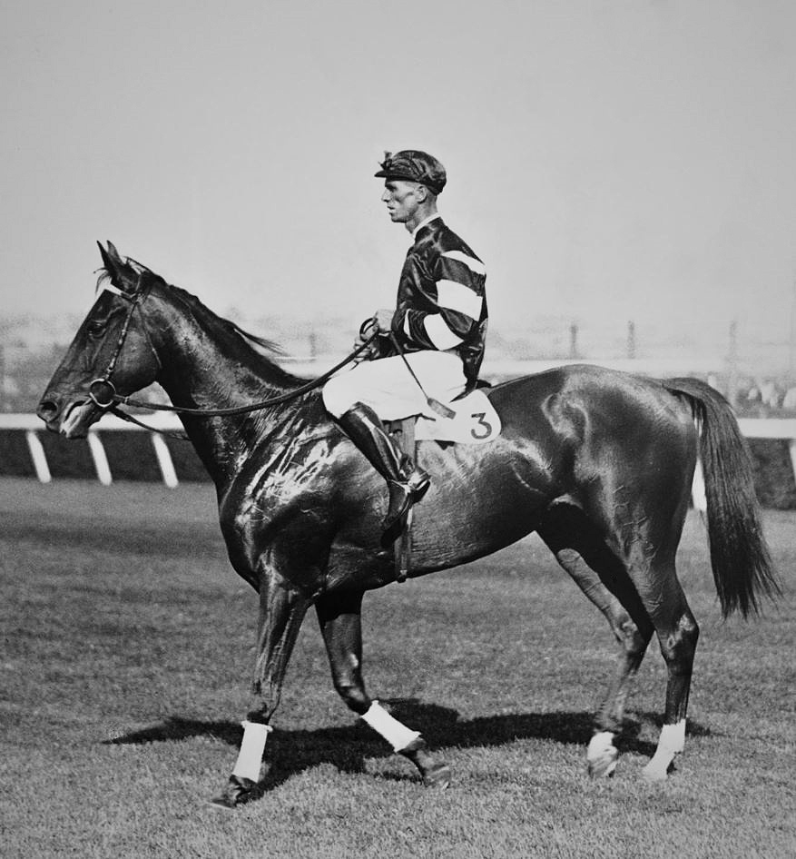 Phar Lap Complete Career Record