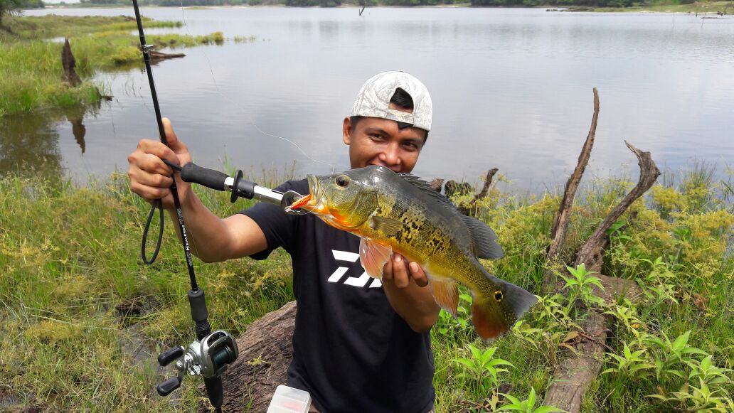 KEMBARA KAIL : MEMBURU RAJA DI AIR KUNING,PERAK