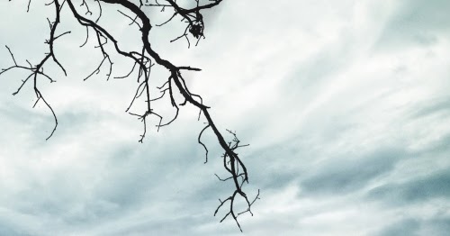 CRUCE DE CABLES: Silencio. Historia de un asesino/ Thomas Rabb