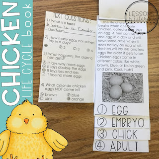CHICKEN LIFE CYCLE - Lessons in Literacy