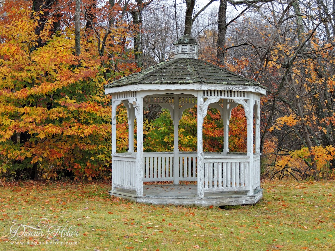 Donna's Designs: Brilliant Autumn