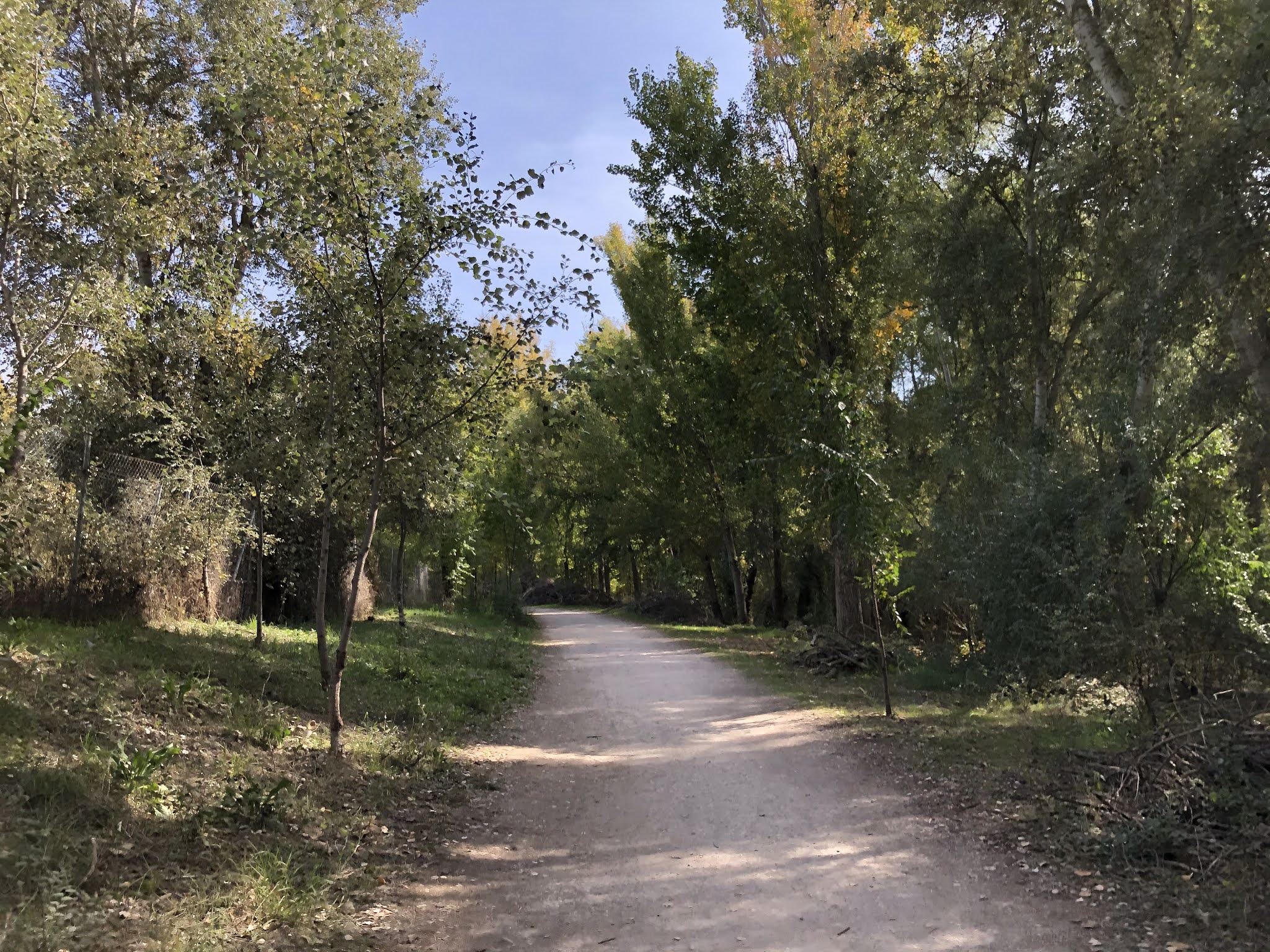 Ruta de senderismo circular por El Pardo y la Quinta - Conmimochilacuestas