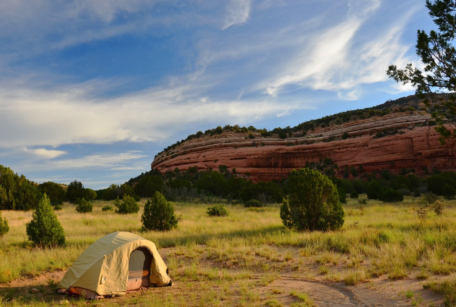 OUTDOORS NM: New Mexico's Oasis on the Plains - Mills Canyon.