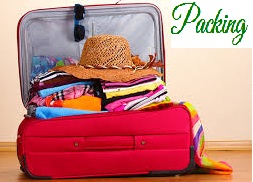 Packing - By Jerome k. Jerome CLASS 9 ENGLISH SOLUTIONS (BEEHIVE) SEBA ...