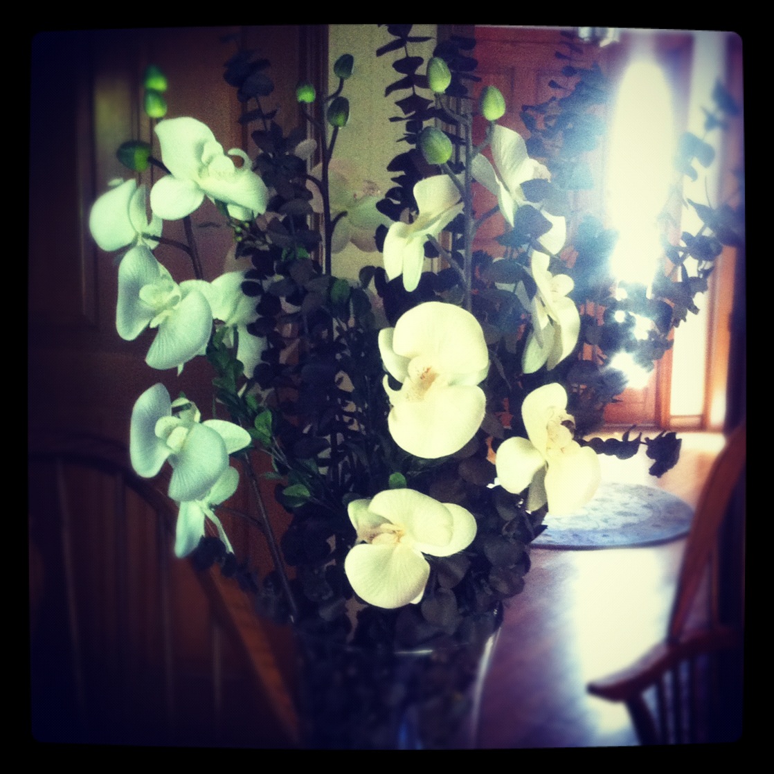 Phi Sigma Rho at the University of Cincinnati