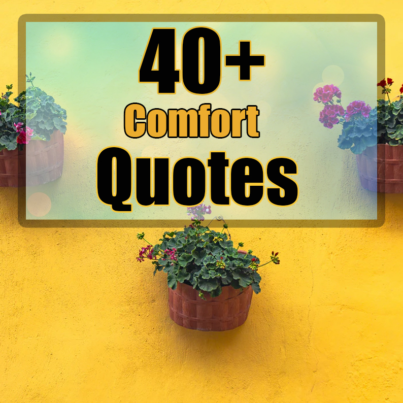 Comfort quotes comfortness quotes comforting quotes