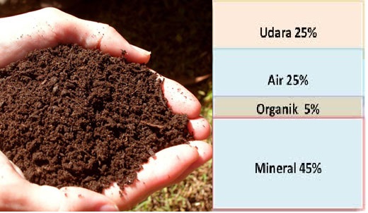 Proses Pembentukan Mineral dalam Tanah ~ Adventure Is Out There