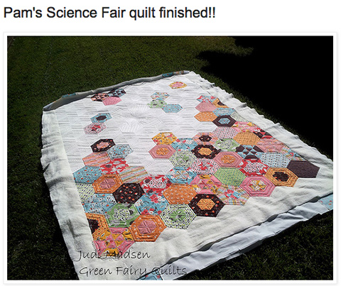 Jaybird Quilts: Your Photos: Science Fair!