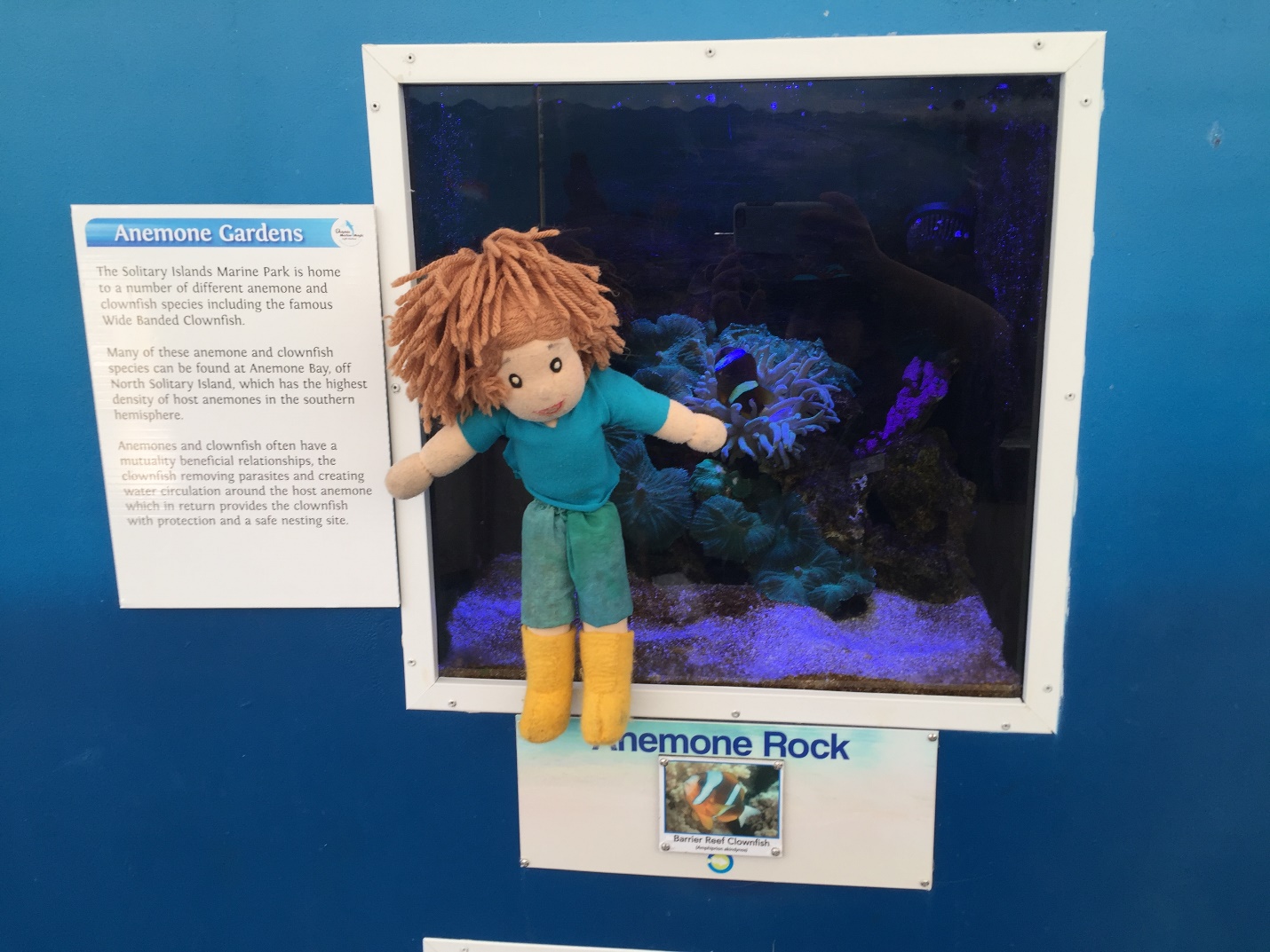 Abby's Aquarium Adventures