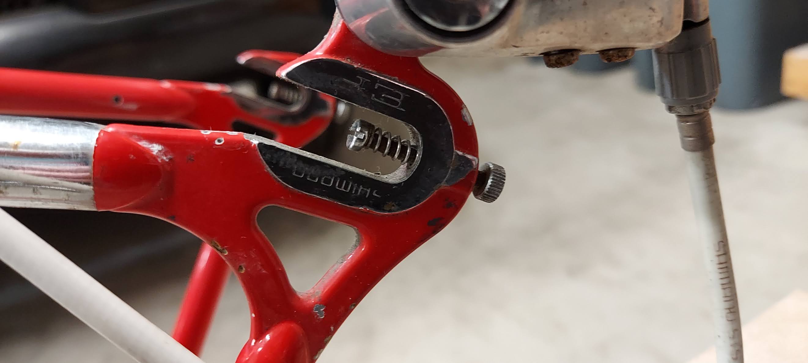 Spud's blog: Beater road bike - Novara Trionfo