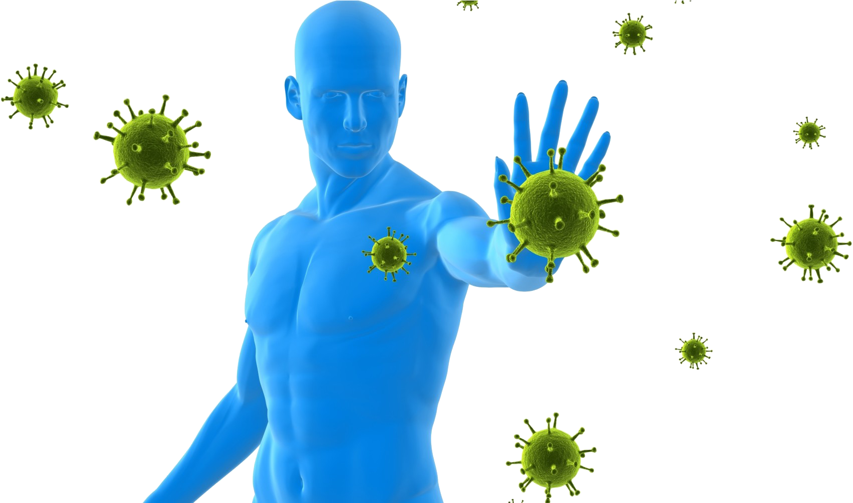 All You Need to Know About Immune System and How to Boost it - Sport ...