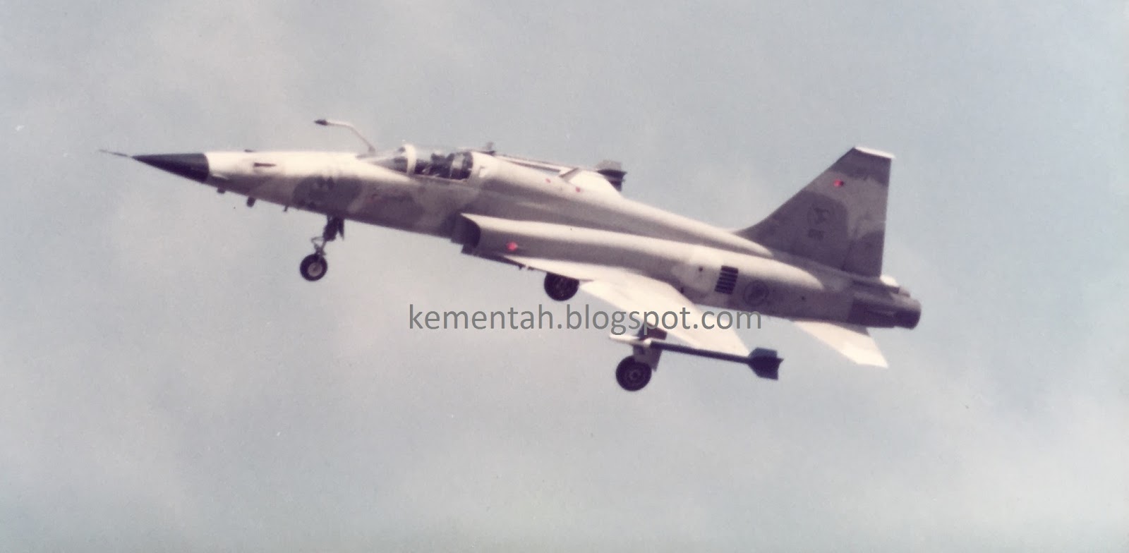 Senang Diri: Circuit breaker Day 22 pix: Colourful F-5 camouflage schemes