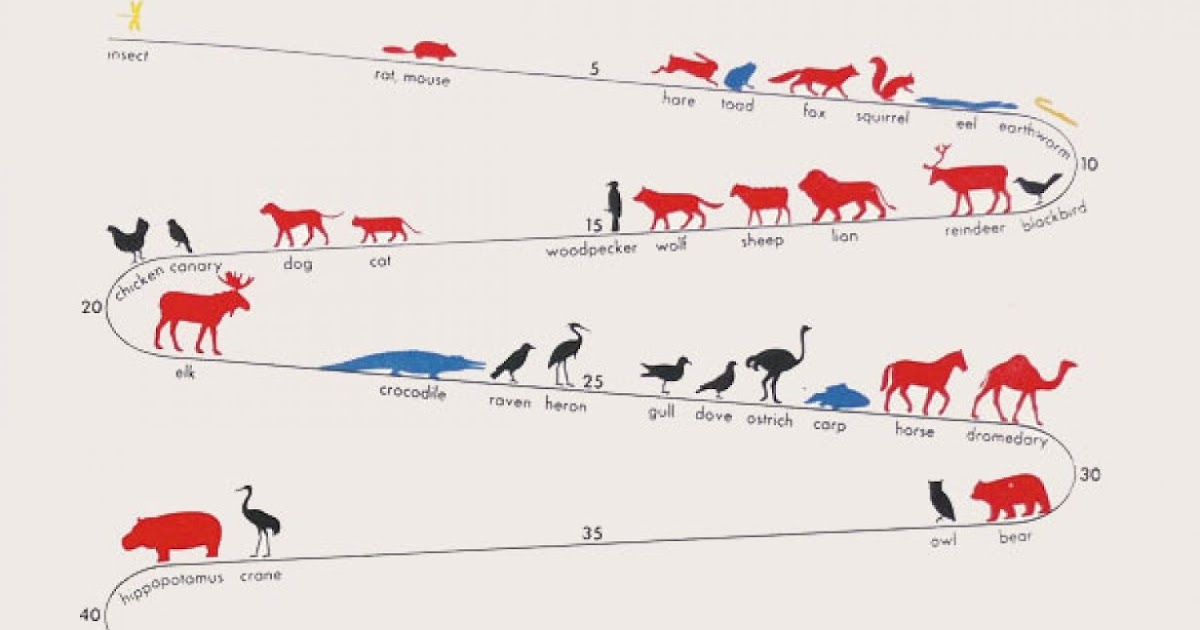 How Long do Animals Live - Infographics - Ratta.pk