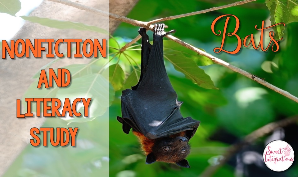 Bats: 6 Informative Resources for Teaching Nonfiction | Sweet Integrations