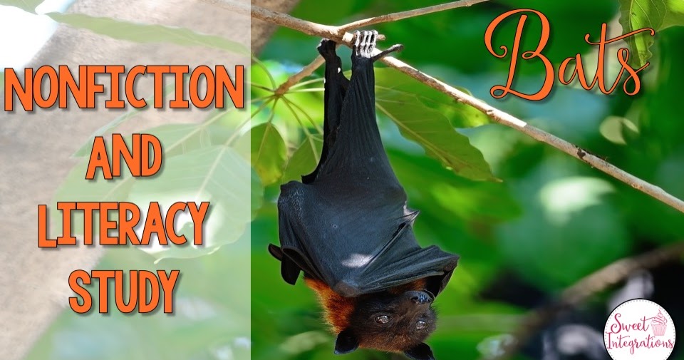 Bats: 6 Informative Resources for Teaching Nonfiction | Sweet Integrations