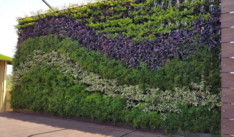 7 jenis model taman vertical garden untuk dinding terbuka | JUAL ...