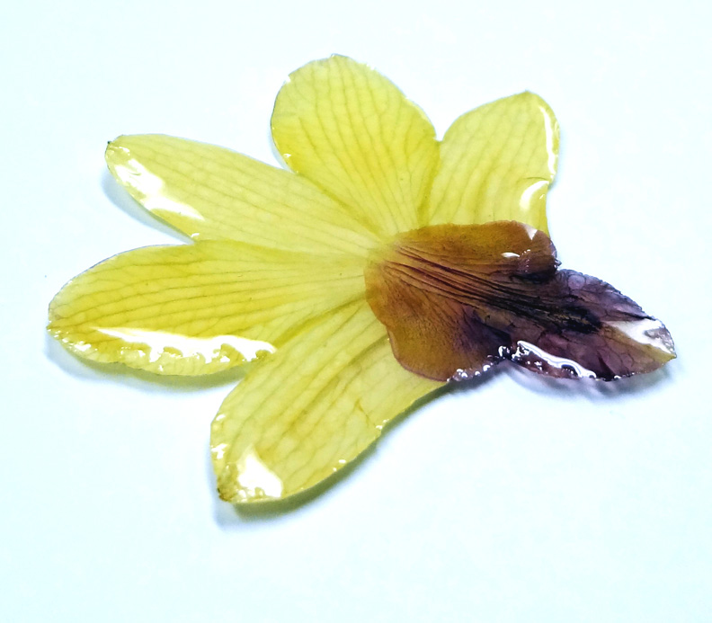 Resin Crafts: Orchids and Resin - Part One