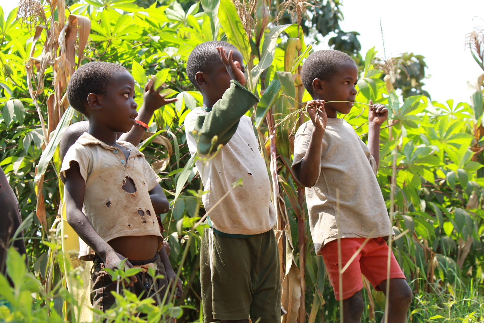 Rose's Journey: End Child Sacrifice. Join us for the 10K walk in ...